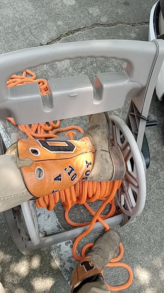 TOP TIER TOTAL TREE & RESTORATION CONSERVATION - Request a Quote ...