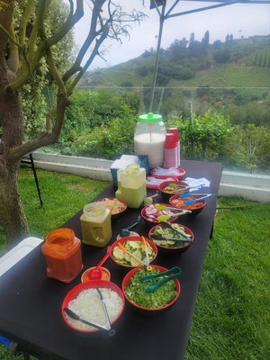 TAQUIZA CALEB - 106 Photos - 1500 N Harbor Blvd, Santa Ana, California ...