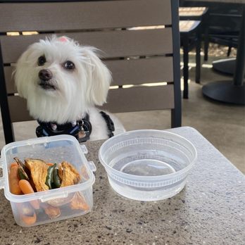 LAZY DOG RESTAURANT & BAR - Updated October 2024 - 1129 Photos & 733 ...