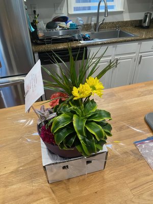 RUTH’S ROSES - Updated February 2025 - 17 Photos & 29 Reviews ...