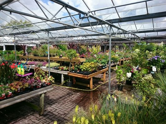 TREBARON GARDEN CENTRE - Updated December 2025 - 350 Common Edge Road ...