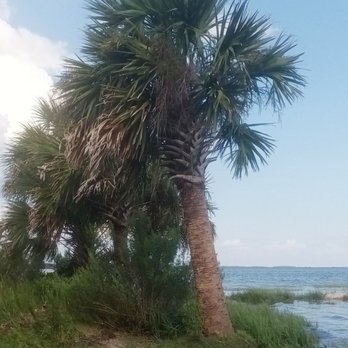 WAKULLA BEACH - Updated January 2026 - 16 Photos - 1204 Wakulla Beach ...