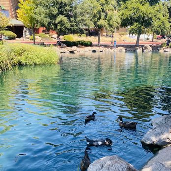 AMC MANTECA 16 - Updated September 2024 - 139 Photos & 366 Reviews ...