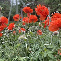 PRIMO - Updated May 2025 - 581 Photos & 457 Reviews - 2 Main St ...