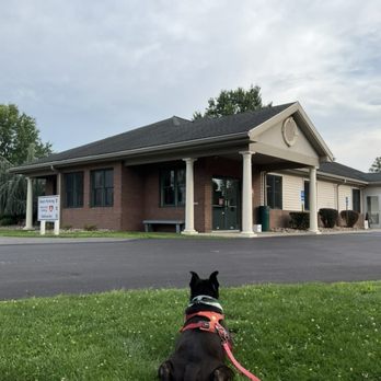 BLOOMSBURG VETERINARY HOSPITAL - Updated January 2026 - 14 Photos & 26 ...