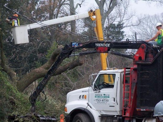 ARBOR TECH TREE SERVICE - Updated October 2025 - 28 Photos - 3769 ...