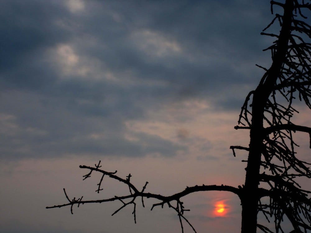 WEASELHEAD FLATS - Updated January 2026 - 66 Ave and 37 St SW, Calgary ...