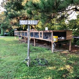 BACKWOODS CROSSING - Updated July 2025 - 1209 Photos & 695 Reviews ...