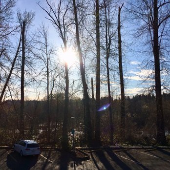 MERCER SLOUGH NATURE PARK - Updated May 2026 - 116 Photos & 32 Reviews ...