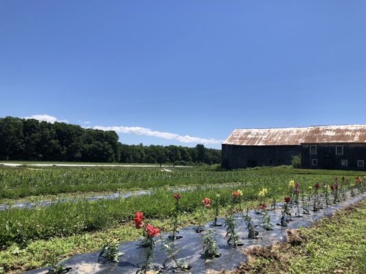 MOULTON FARM - Updated August 2025 - 89 Photos & 65 Reviews - 18 Quarry ...