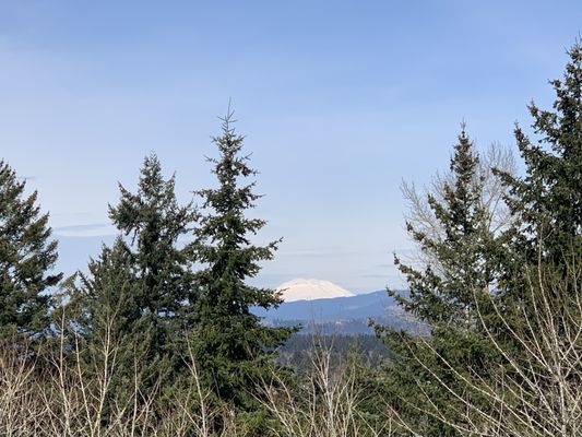 POWELL BUTTE NATURE PARK - 300 Photos & 70 Reviews - 16160 SE Powell ...