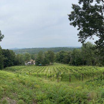 CLEARVIEW VINEYARD - Updated November 2024 - 127 Photos & 110 Reviews ...