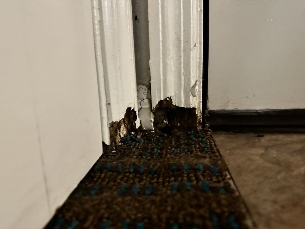 RESIDENCE INN BOCA RATON - Updated November 2025 - 62 Photos & 69 ...