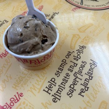 FLAPDOODLES HOMEMADE ICE CREAM - Updated May 2026 - 130 Photos & 191 ...