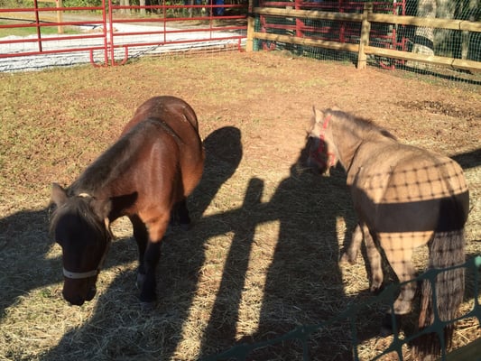 FORT MILL YMCA AT THE COMPLEX - Updated November 2025 - 14 Photos - 971 ...