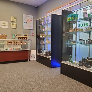 ZIPS CANNABIS- HWY 512 - Updated March 2025 - 10707 Pacific Ave S ...