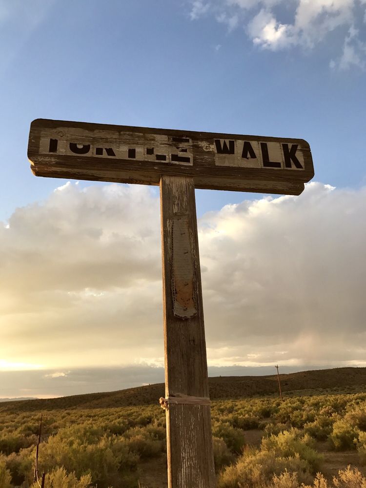 DELAMAR GHOST TOWN - Updated September 2024 - 17 Photos - Caliente ...