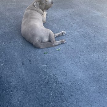 ISAAC FARMS - Updated January 2026 - 456 Photos & 113 Reviews - 18800 ...