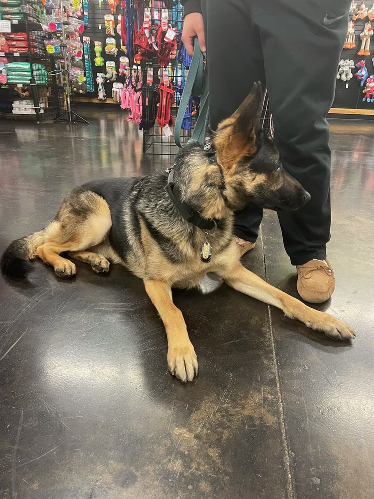 NATURALLY UNLEASHED - Updated September 2024 - 330 Glensford Dr ...