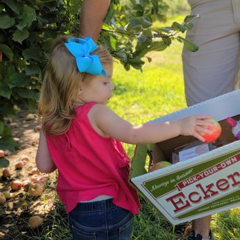 ECKERT’S ORCHARD - Updated September 2025 - 135 Photos & 64 Reviews ...