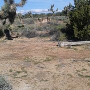 PRIME DESERT WOODLAND PRESERVE - 154 Photos & 54 Reviews - Hiking ...