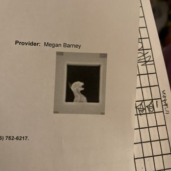 WILSON VETERINARY HOSPITAL - Updated August 2024 - 56 Photos & 266 ...