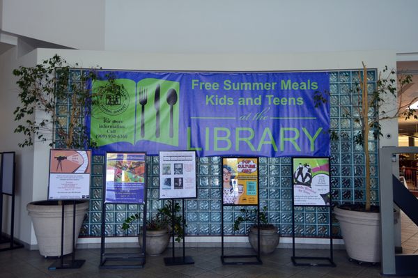 OVITT FAMILY COMMUNITY LIBRARY - Updated December 2025 - 60 Photos & 56 ...