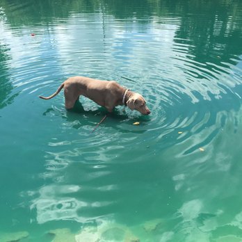 CITY OF KATY DOG PARK - Updated December 2025 - 48 Photos & 43 Reviews ...