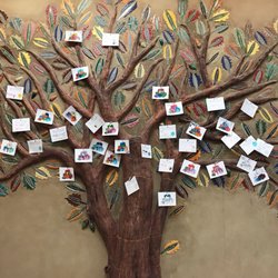 LAURA BUSH COMMUNITY LIBRARY - 24 Photos & 15 Reviews - 9411 Bee Cave ...