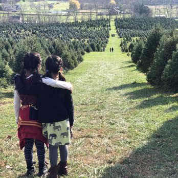 SNICKERS GAP CHRISTMAS TREE FARM - TEMP. CLOSED - Updated July 2025 ...