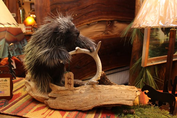 Rusty Moose Lodge Decor Springfield Missouri | Shelly Lighting