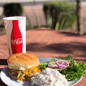 ORACLE PATIO CAFE - 164 Photos & 162 Reviews - 270 W American Ave ...