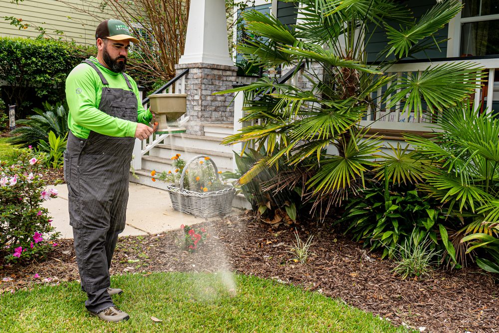 TORPEDO MOSQUITO + GNAT OF ATLANTA - Updated April 2025 - 21 Photos ...