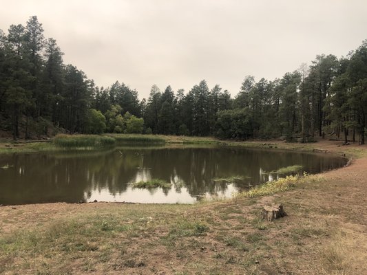 MINGUS MOUNTAIN - Updated October 2025 - Prescott National Forrest ...