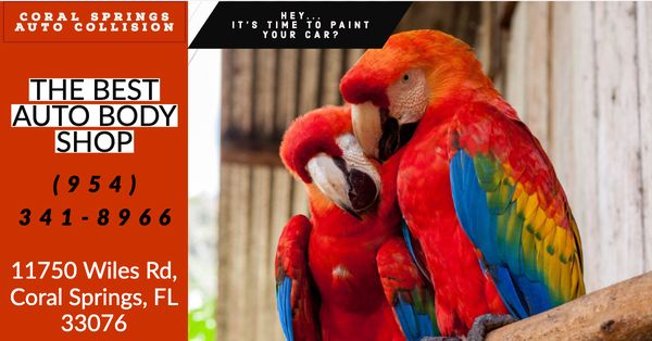 CORAL SPRINGS AUTO COLLISION - Updated December 2025 - 41 Photos & 10 ...