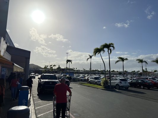 PLAZA PALMA REAL - Updated January 2026 - Carretera 3 350, Humacao ...