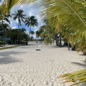 LIME TREE BAY RESORT - Updated November 2024 - 425 Photos & 200 Reviews ...