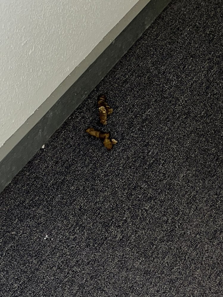 PARK AT VOSS APARTMENTS - Updated April 2025 - 68 Photos & 86 Reviews ...