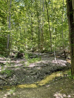 GILBERT RUN RECREATIONAL PARK - Updated May 2025 - 29 Photos - 13140 ...