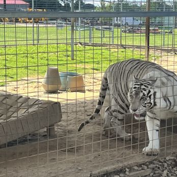 SHARKAROSA WILDLIFE RANCH - Updated January 2026 - 312 Photos & 136 ...