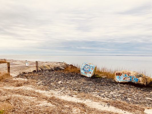 REEDS BEACH - Updated December 2025 - 23 Photos - Reeds Beach Rd ...