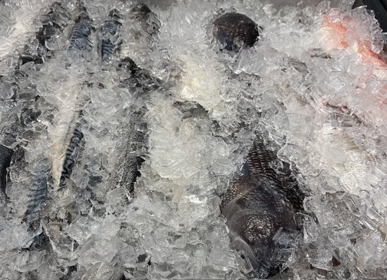 PISCES FISH MARKET - 25 Photos & 23 Reviews - Seafood Markets - 413 5th ...