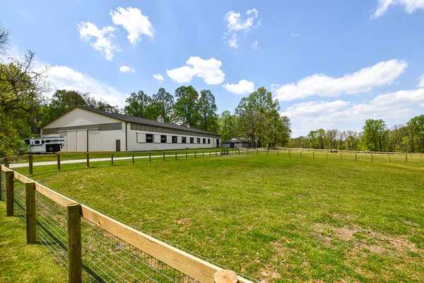 TOP FLIGHT STABLES - Updated December 2025 - 34 Photos - 1608 Wildlife ...