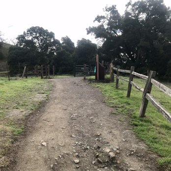 MT. BURDELL OPEN SPACE PRESERVE - Updated January 2026 - 167 Photos ...