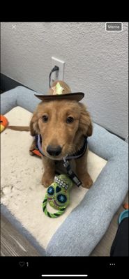 TEMPE POST ACUTE - Updated January 2026 - 31 Photos & 37 Reviews - 6100 ...