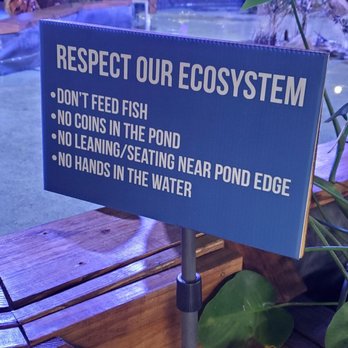 FLOATING SEA AQUATICS - Updated October 2024 - 235 Photos & 45 Reviews ...