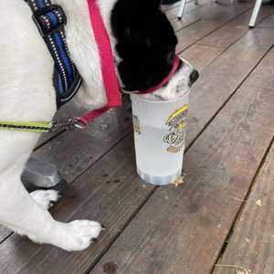 ALPINE BREW DECK - 69 Photos & 56 Reviews - 11 River St, Helen, GA - Yelp