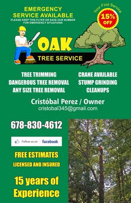 OAK TREE SERVICE - Updated August 2025 - 27 Photos & 11 Reviews ...
