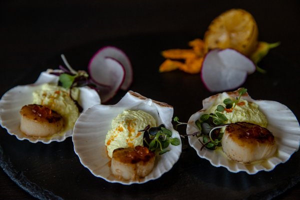 CELEBRATION BY RUPA VIRA - MODERN INDIAN CUISINE - Updated July 2025 ...