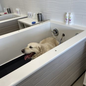 BUBBLY PAWS - Updated August 2024 - 33 Photos & 29 Reviews - 22421 El ...